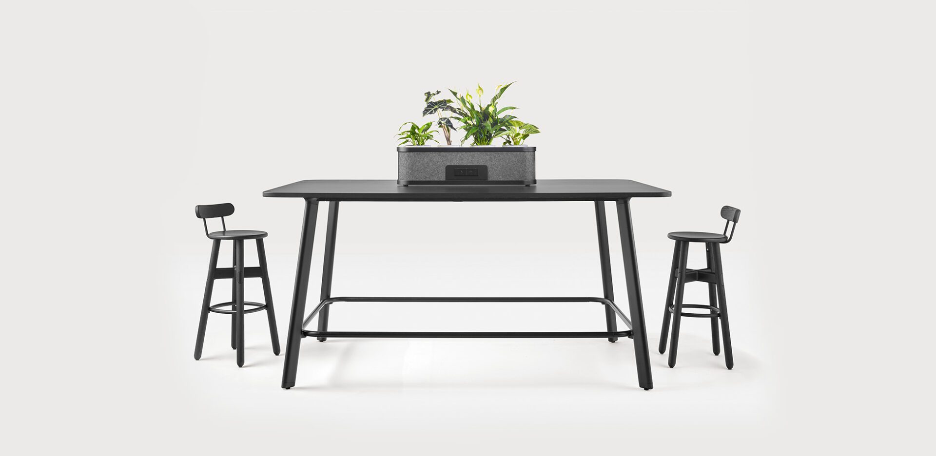 Rosie - Thinking Works